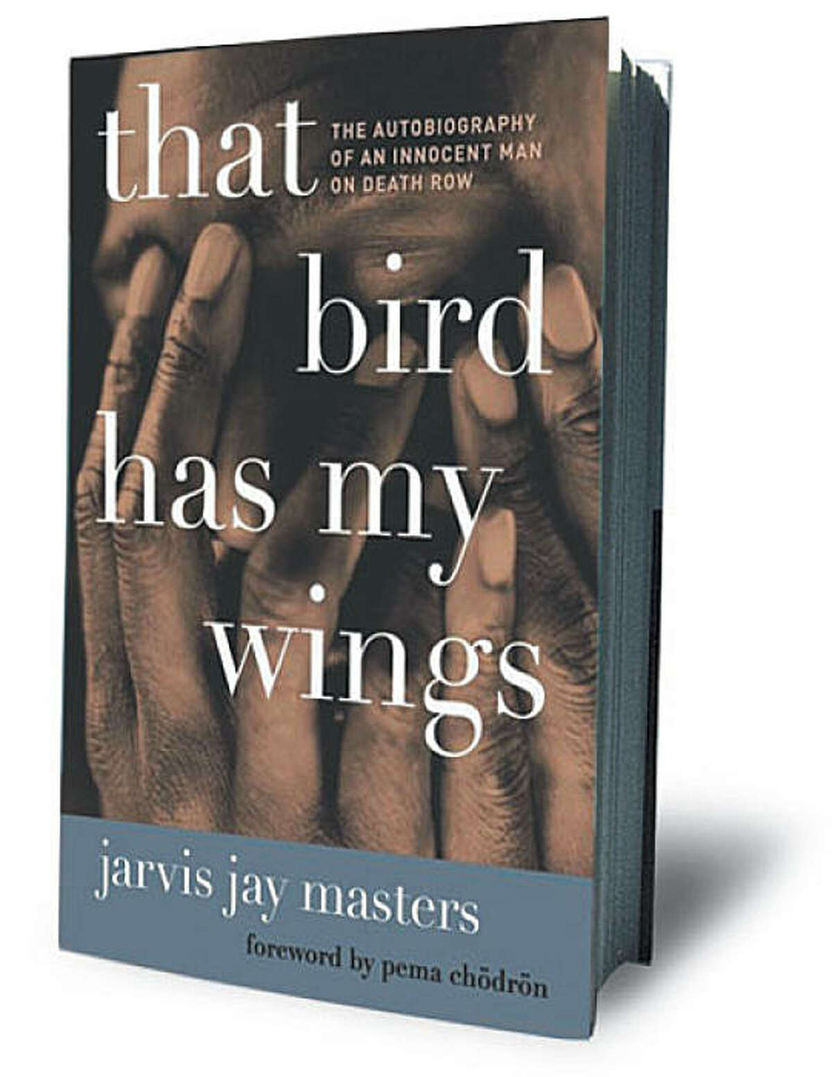 'That Bird Has My Wings,' by Jarvis Jay Masters