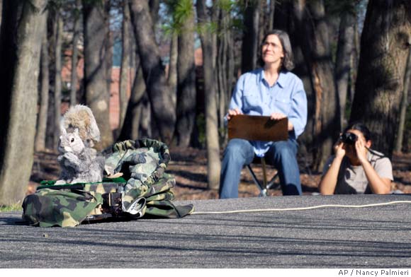 Study with robotic critters
