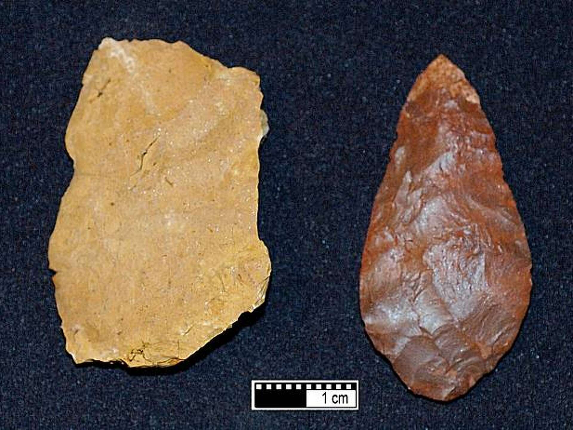 Brain changes may have led to Stone Age tools