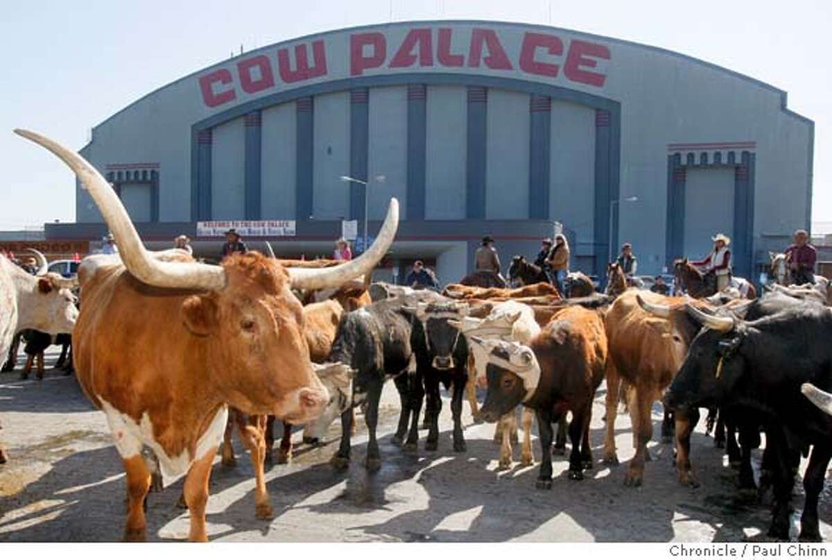 Giddy Up! Grand National Rodeo kicks off with a cattle drive