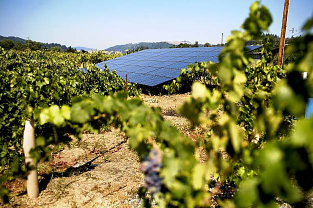 Wine Country goes solar