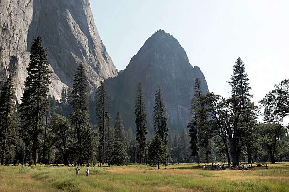 Yosemite's big trees withering away