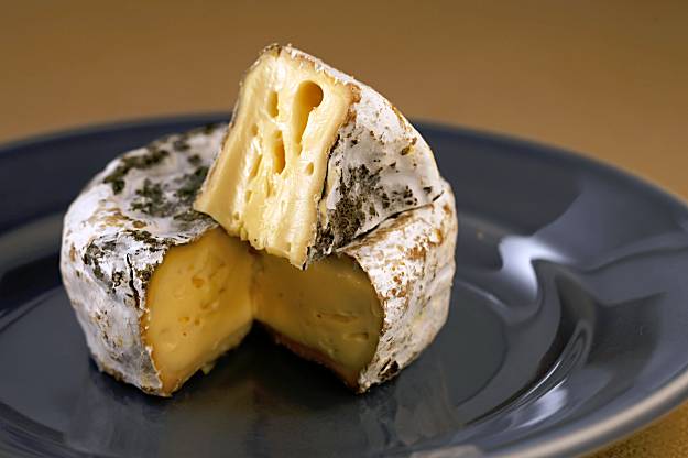 Try St. Pat cheese before its seasonal hiatus