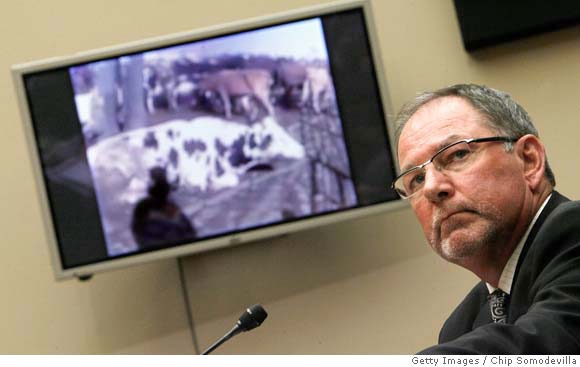 Slaughterhouse chief backs off denial