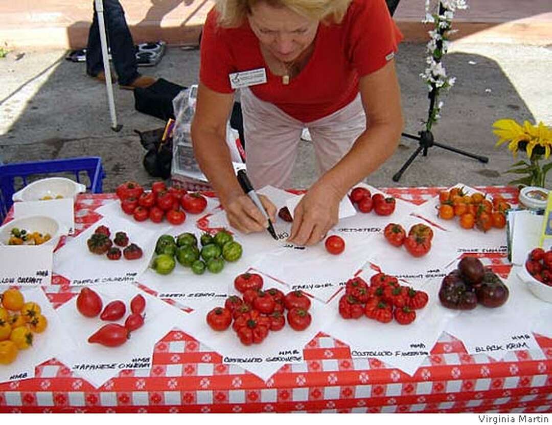 Master gardeners' tomato picks for the coast