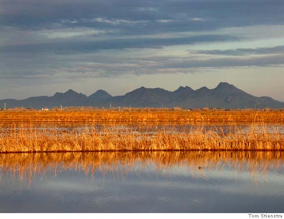 The secret's out on 'smallest mountain range in the world'