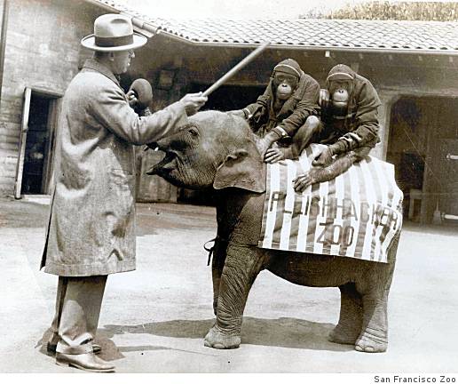 San Francisco Zoo through the years