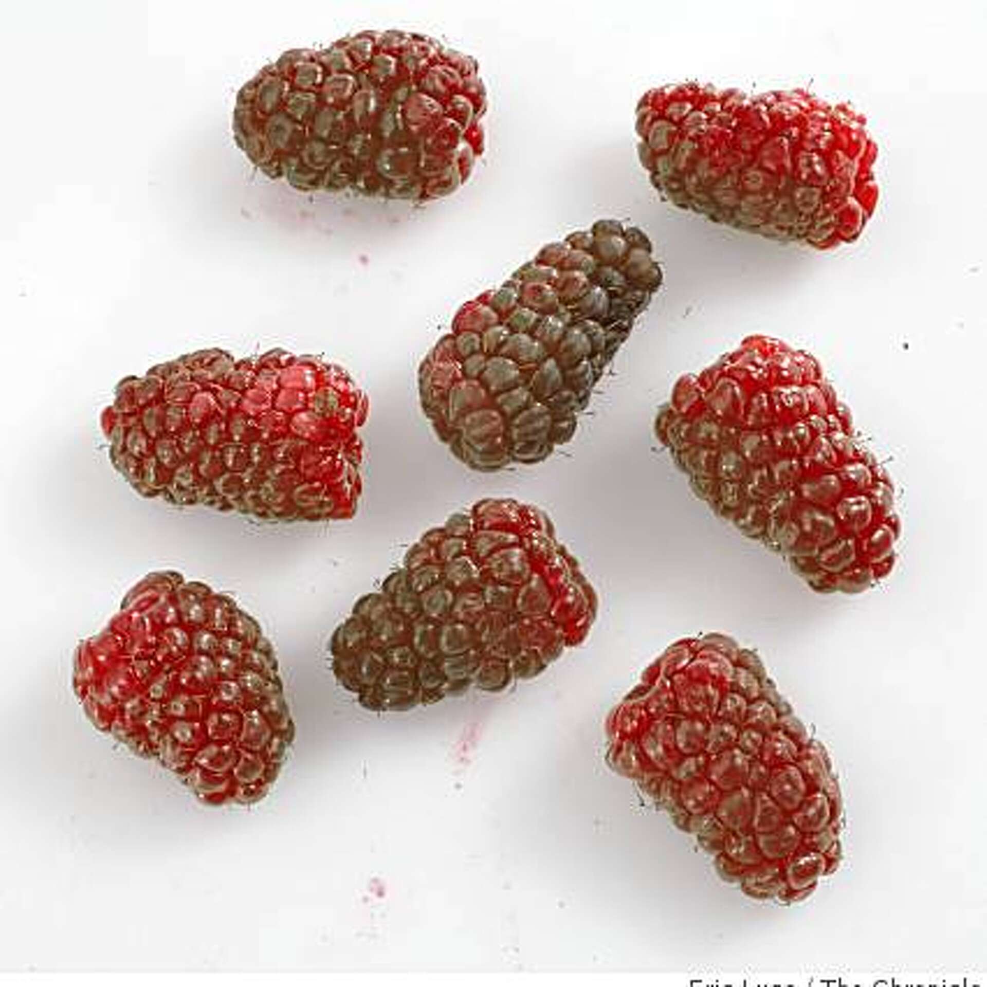 Tayberries have a short tart season