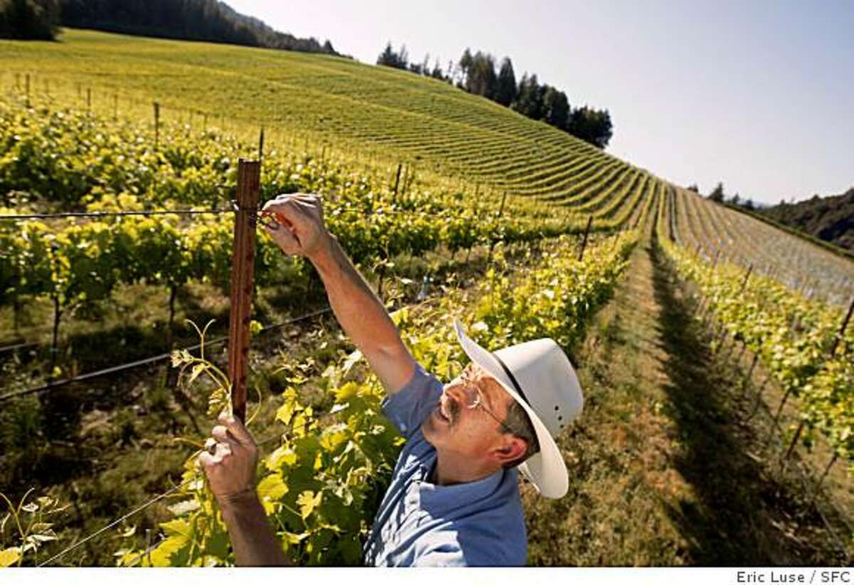 California's best lesser-known vineyards