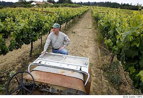 California's best lesser-known vineyards