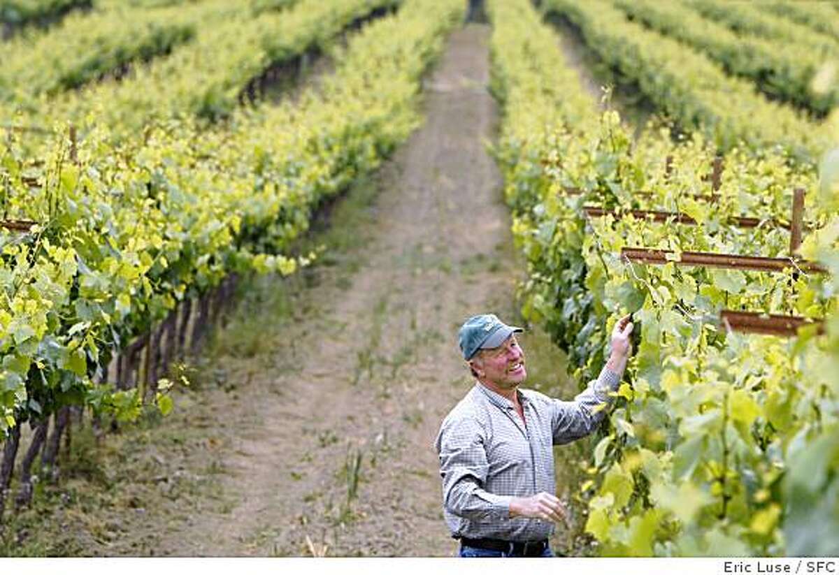 California's best lesser-known vineyards