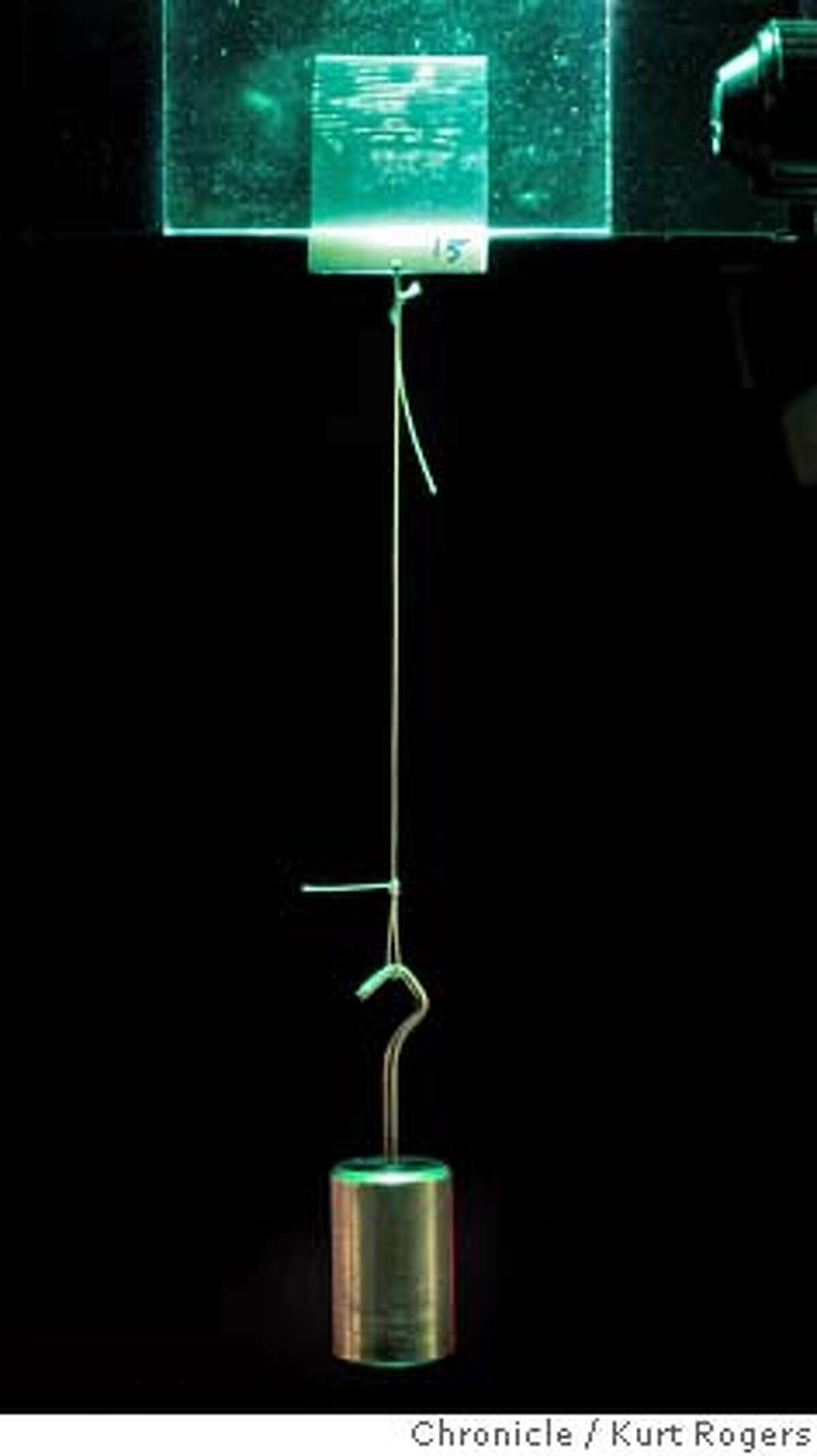 Scientists learn adhesive lessons from geckos