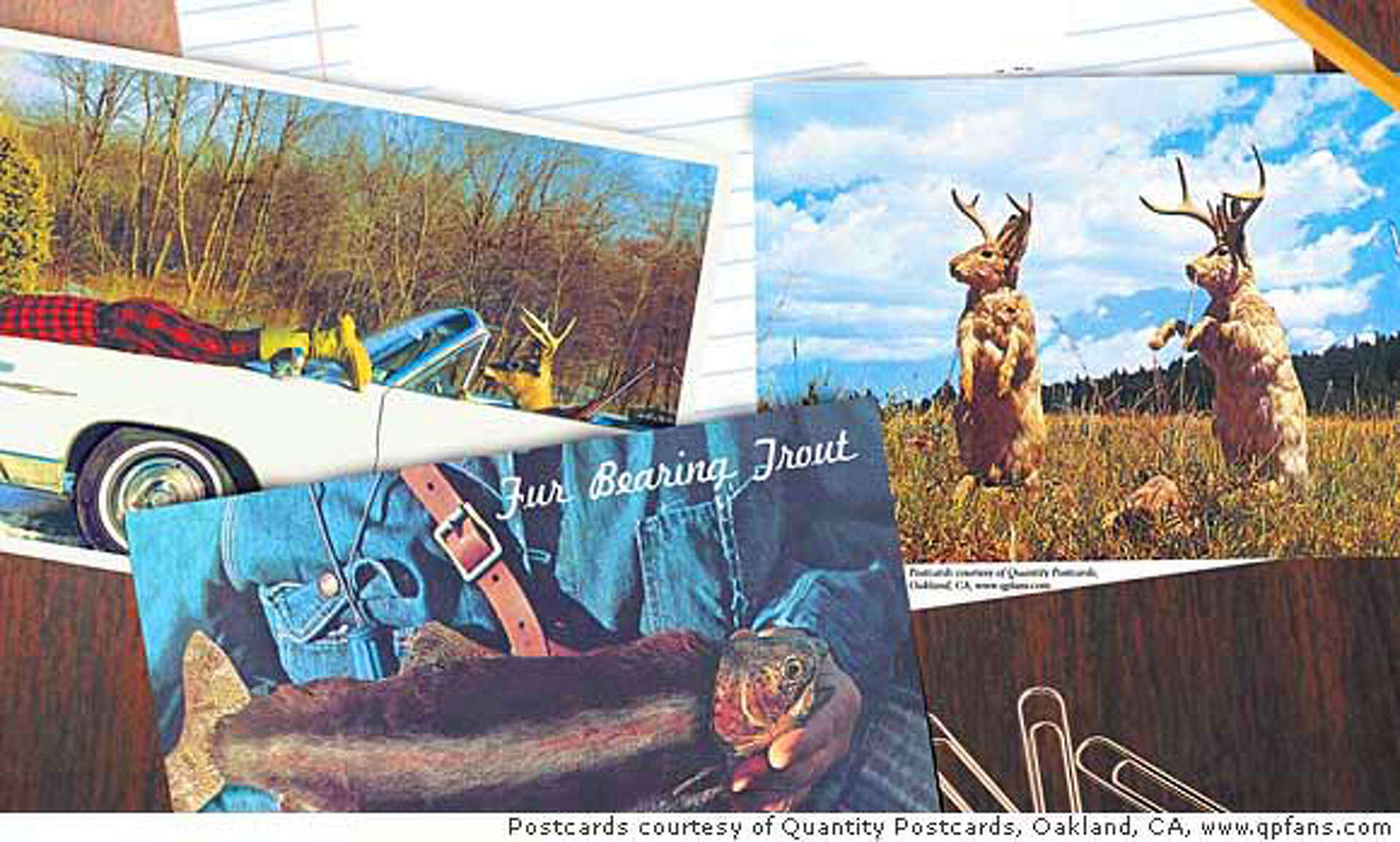 Postcards in peril: Camera phones, Internet replacing souvenir mail