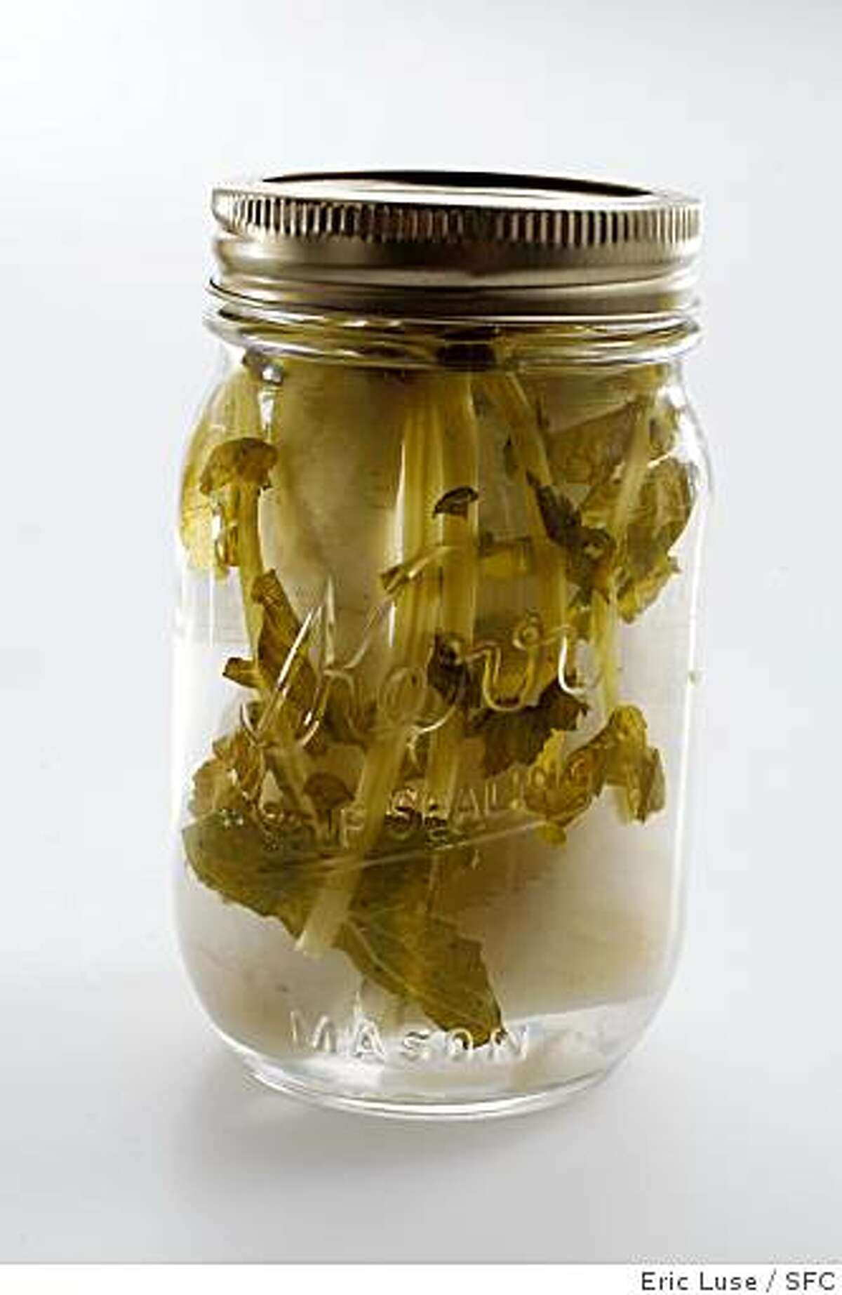 Cultivating their fascination with fermentation