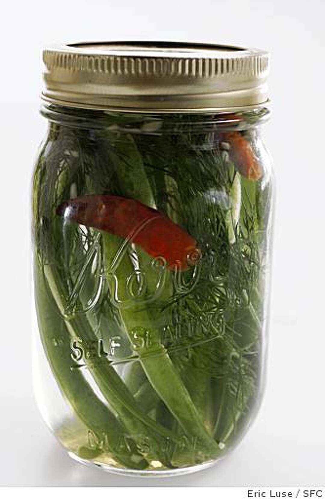 Cultivating their fascination with fermentation