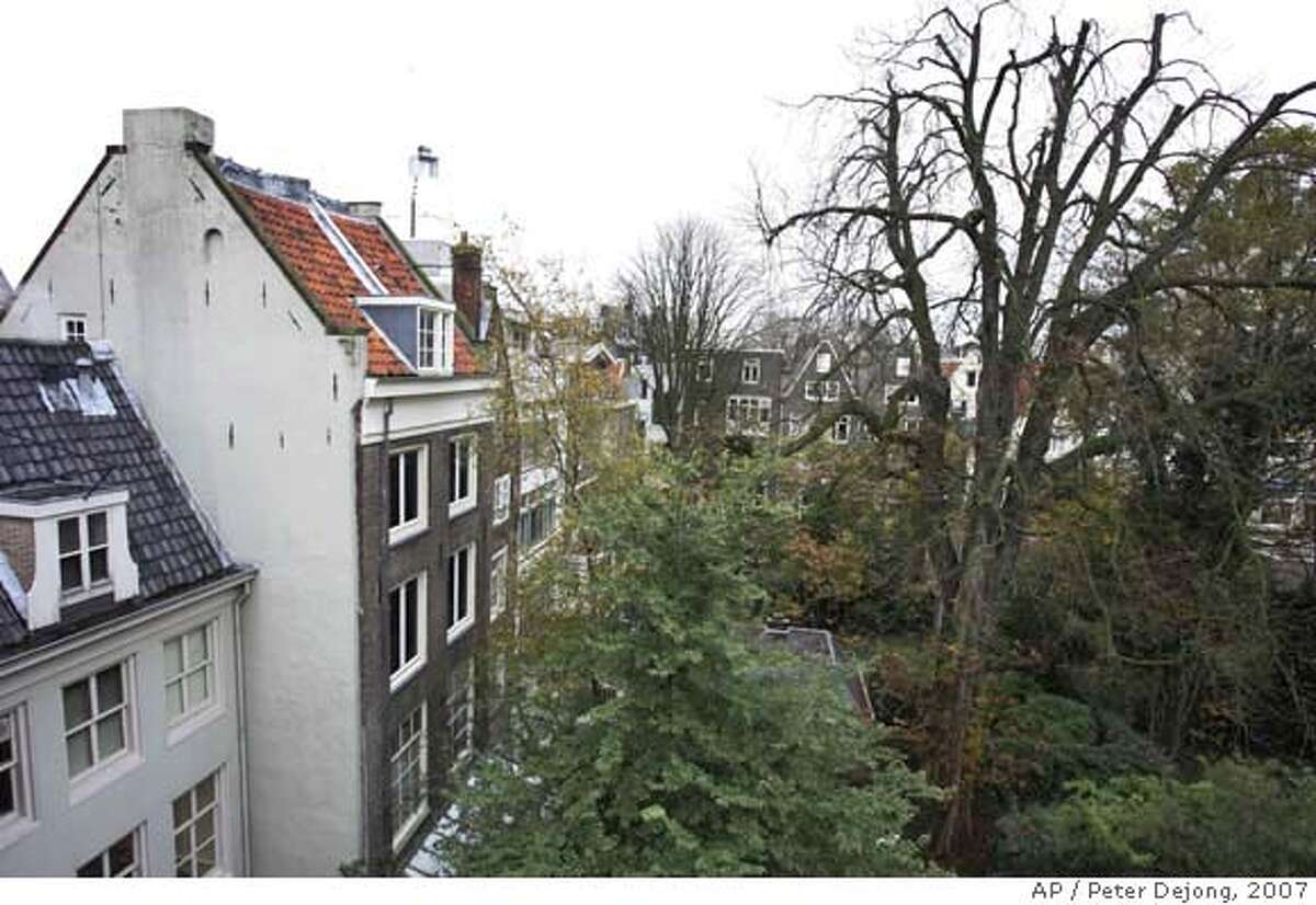 Anne Frank's chestnut tree saved