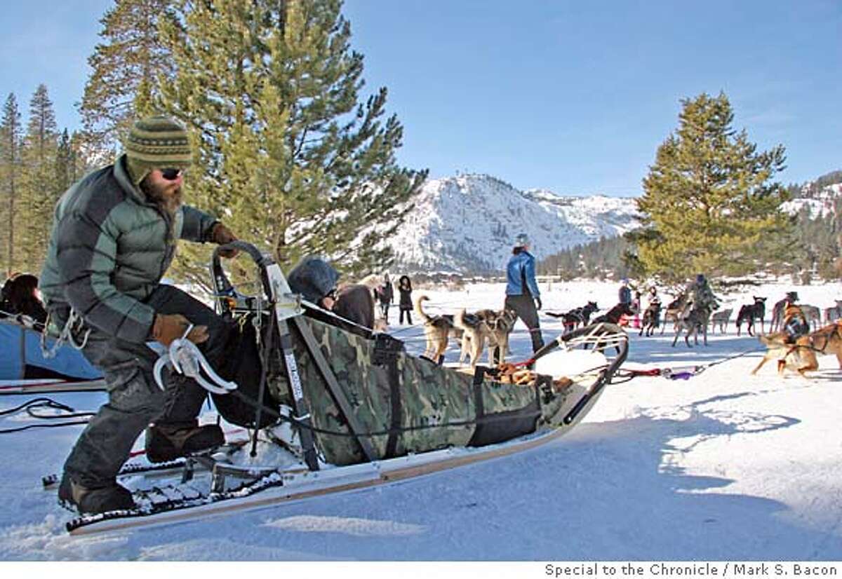 Tahoe dog-sled tours offer unique perspective on Sierra scenery