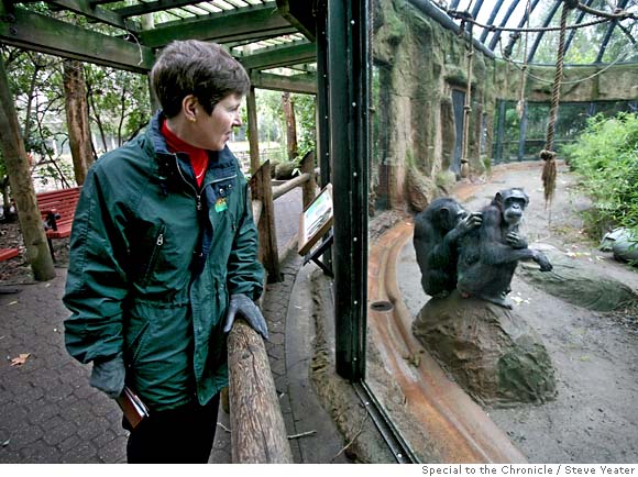 Inspectors to put S.F. Zoo under the microscope
