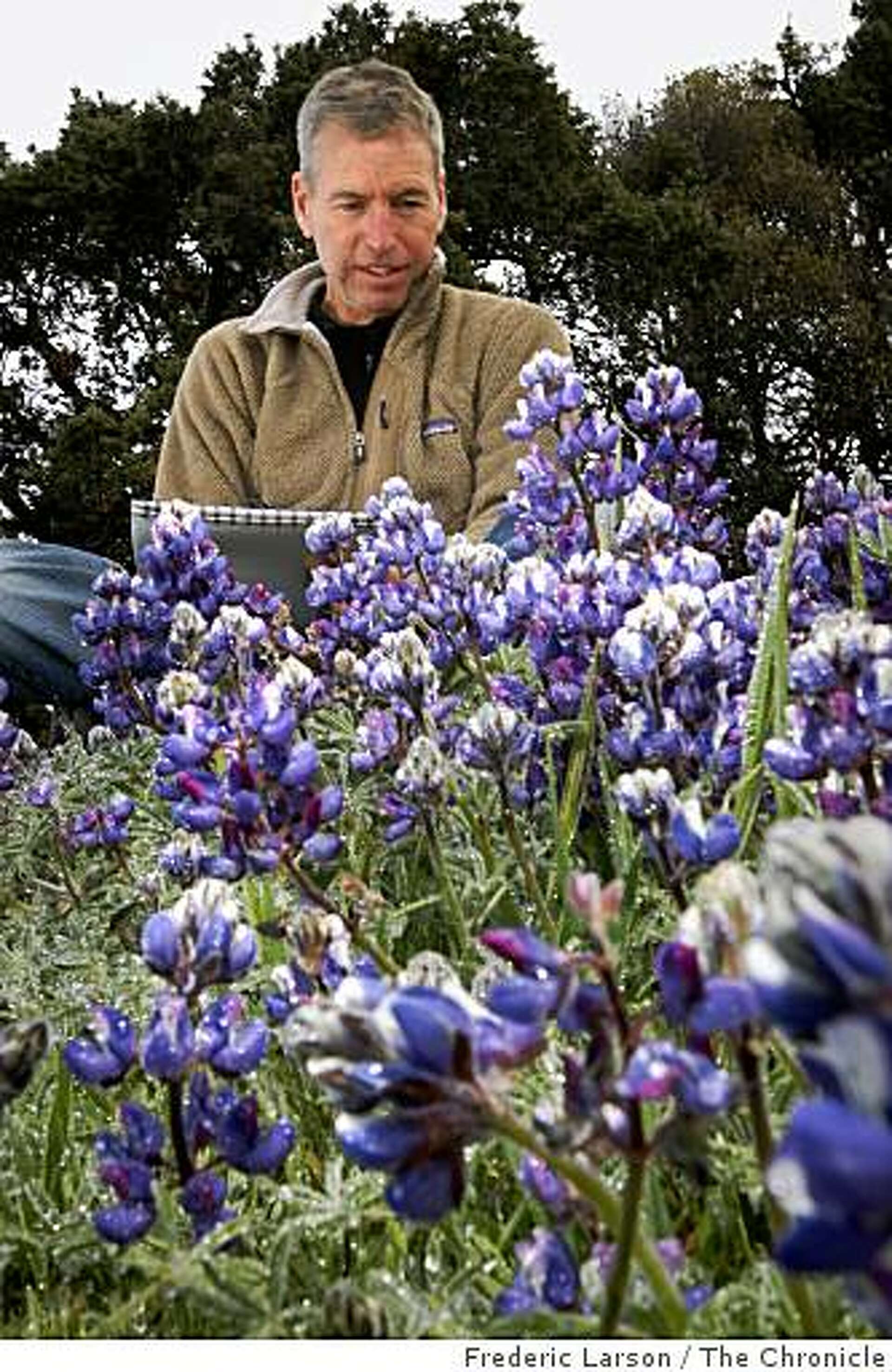 Tom Killion: In the arms of Mount Tam