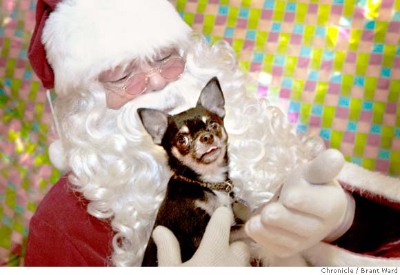 Stores turn holiday photos into a pet project