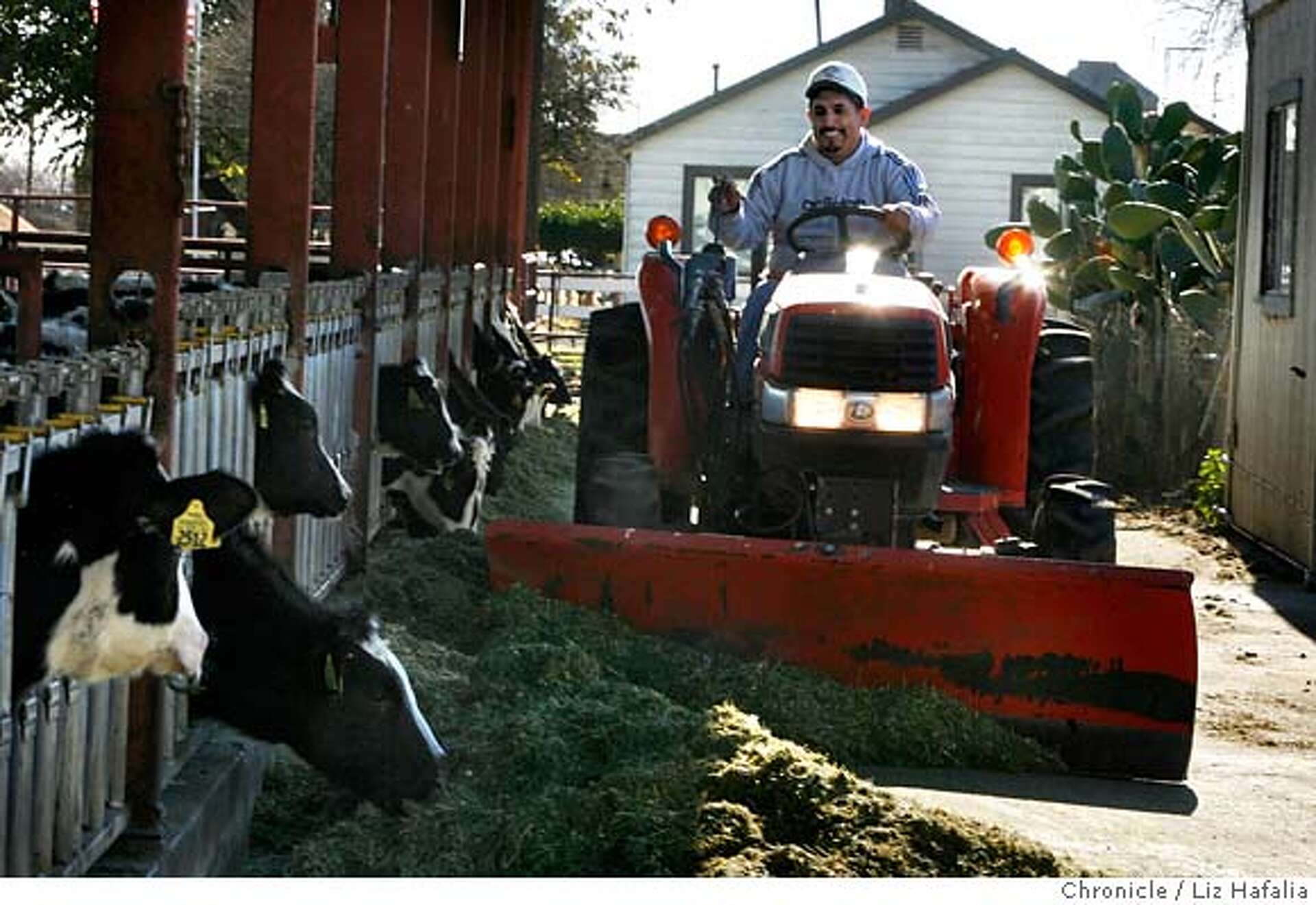 Cattle rustling on the rise in California