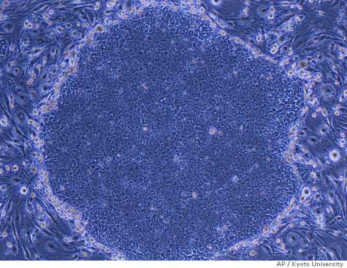 Nobel medicine prize goes to SF scientist