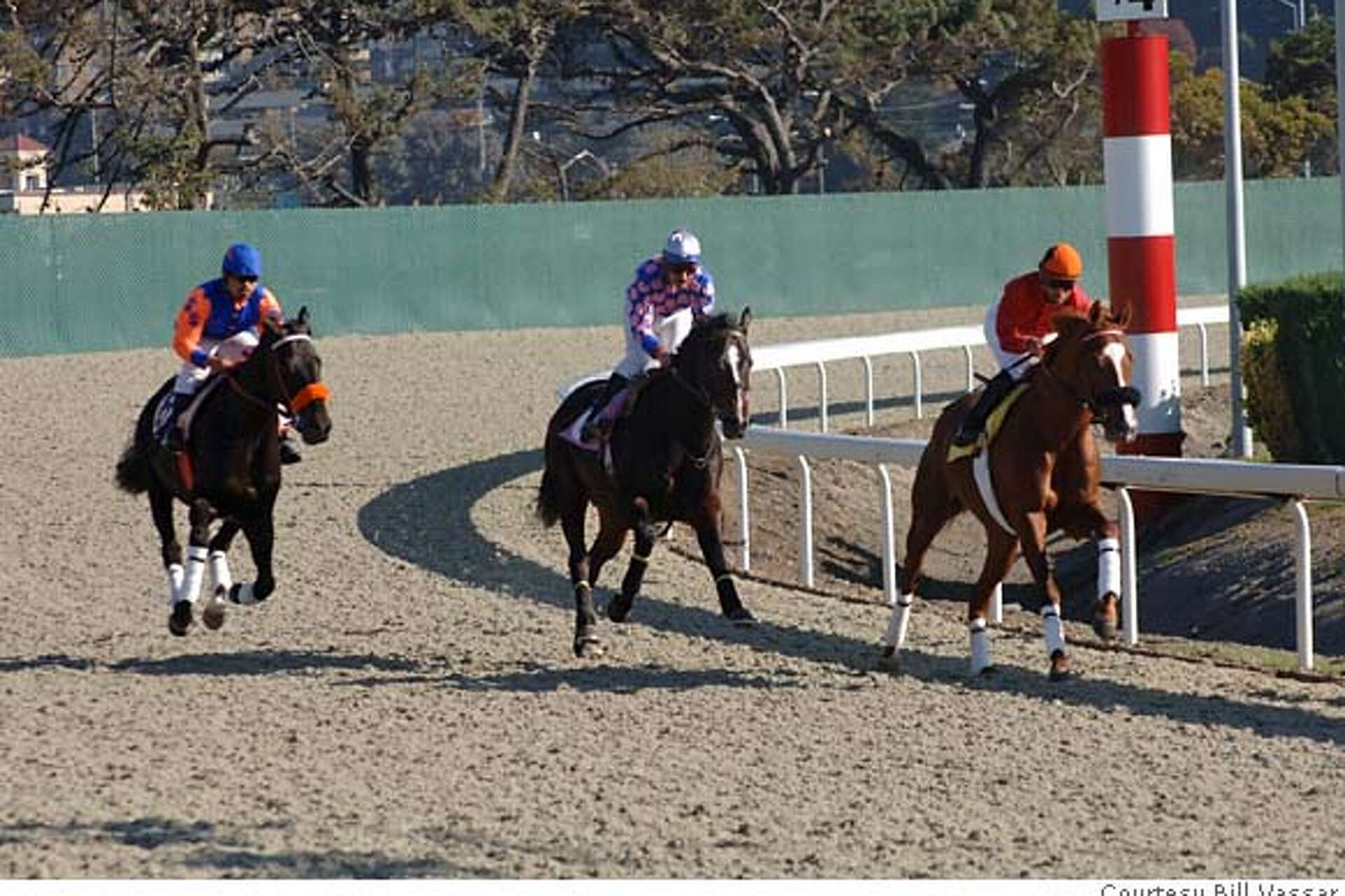 Golden Gate Fields unveils its synthetic track today