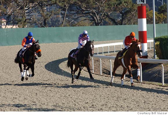 Golden Gate Fields unveils its synthetic track today