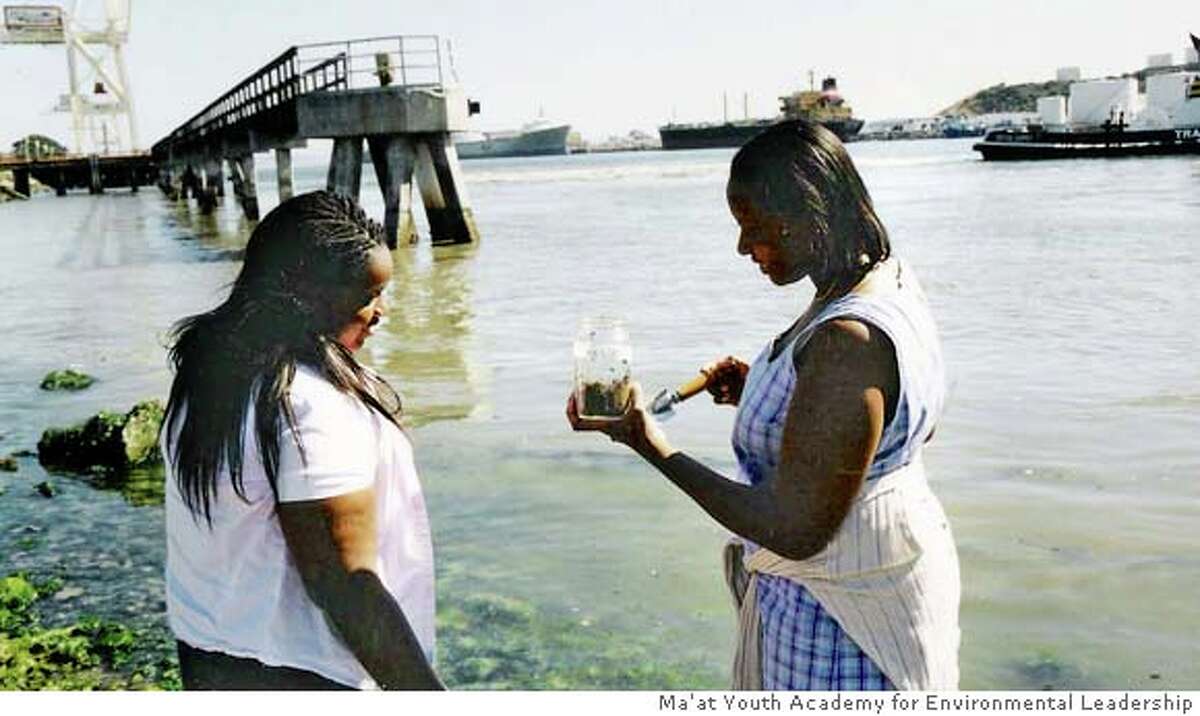 GREEN / We Can Do It: When it comes to the environment, women lead the way