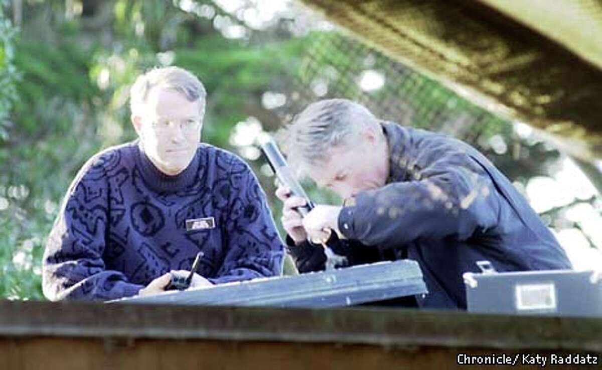 Fear for Koalas' Safety / 2 rare marsupials snatched from S.F. Zoo