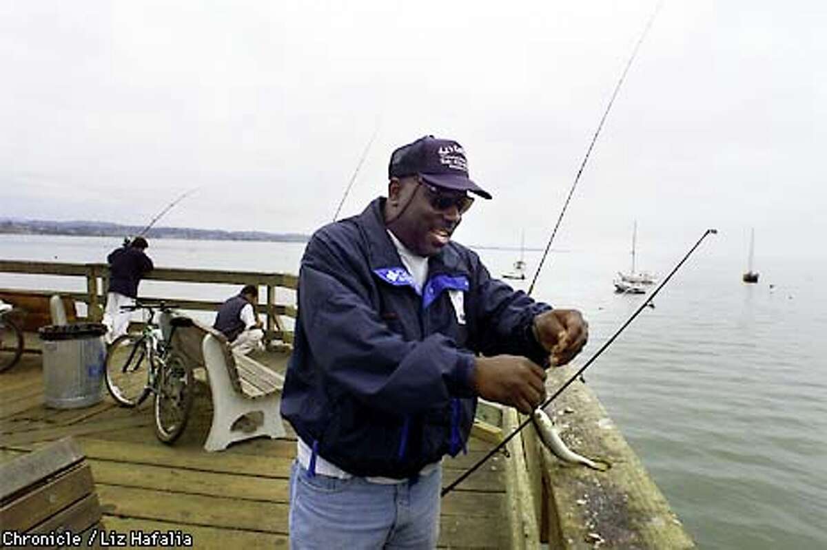GREAT ESCAPES / Begonias and More Bloom In Capitola