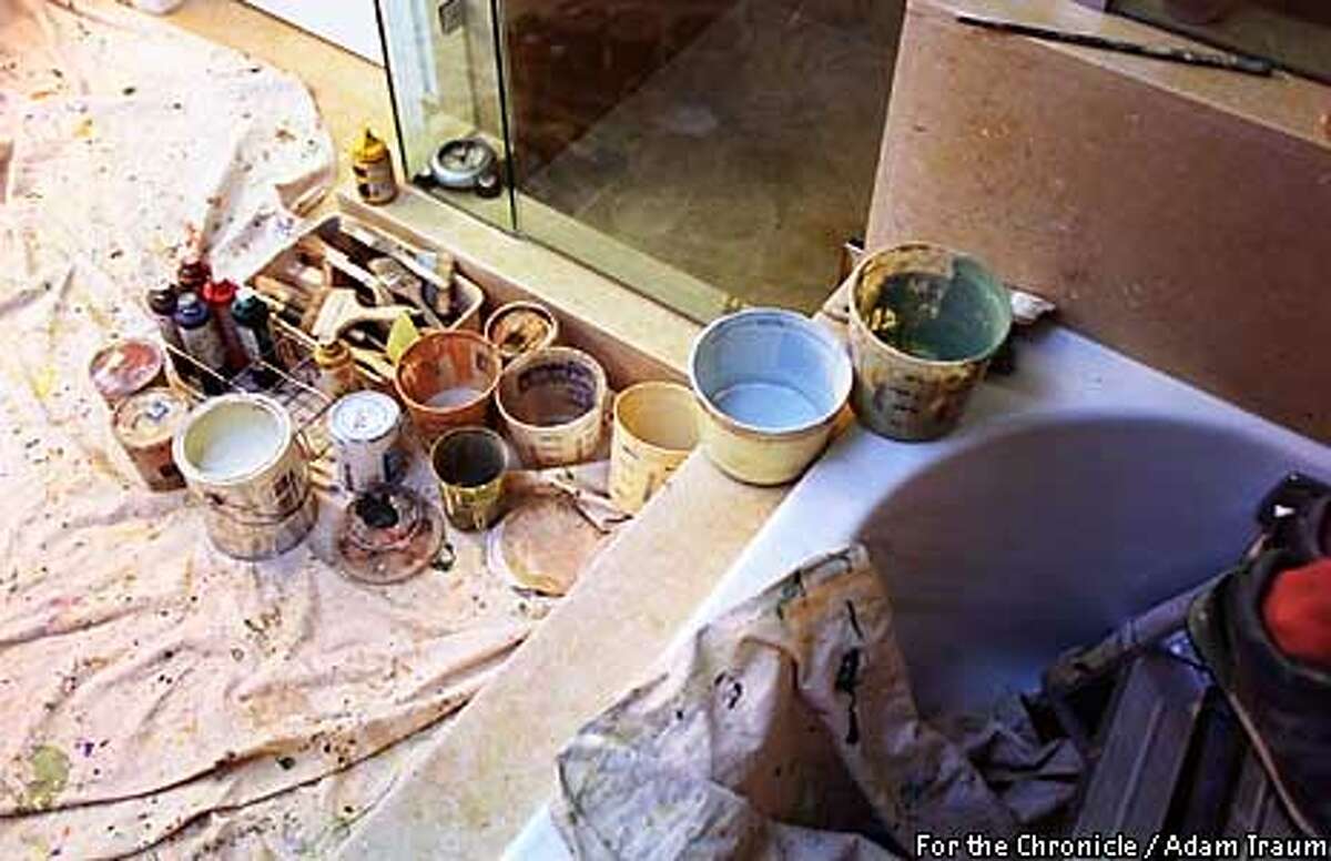 THINKING BIG / Artist finds new business as home murals become popular