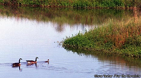 Cache Creek Area Making a Comeback / Grand opening of Nature Preserve ...