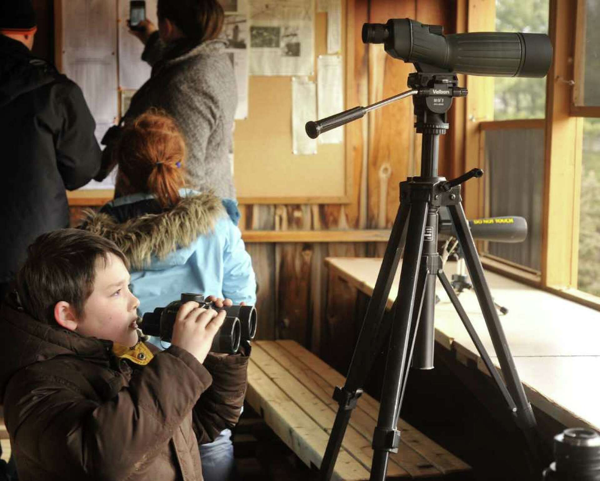 Eagle watchers flock to Shepaug Dam