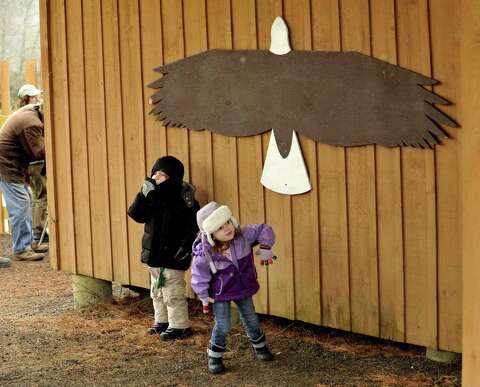 Eagle watchers flock to Shepaug Dam