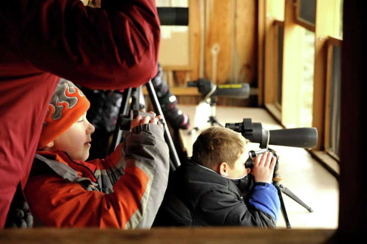 Eagle watchers flock to Shepaug Dam