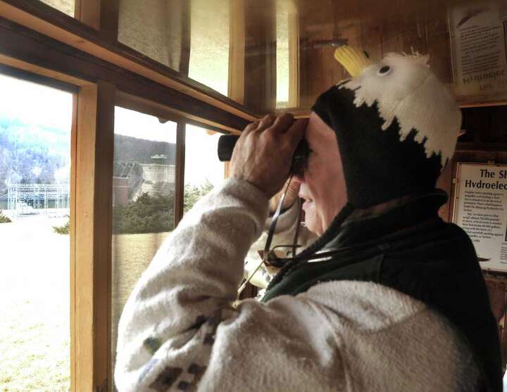 Eagle watchers flock to Shepaug Dam