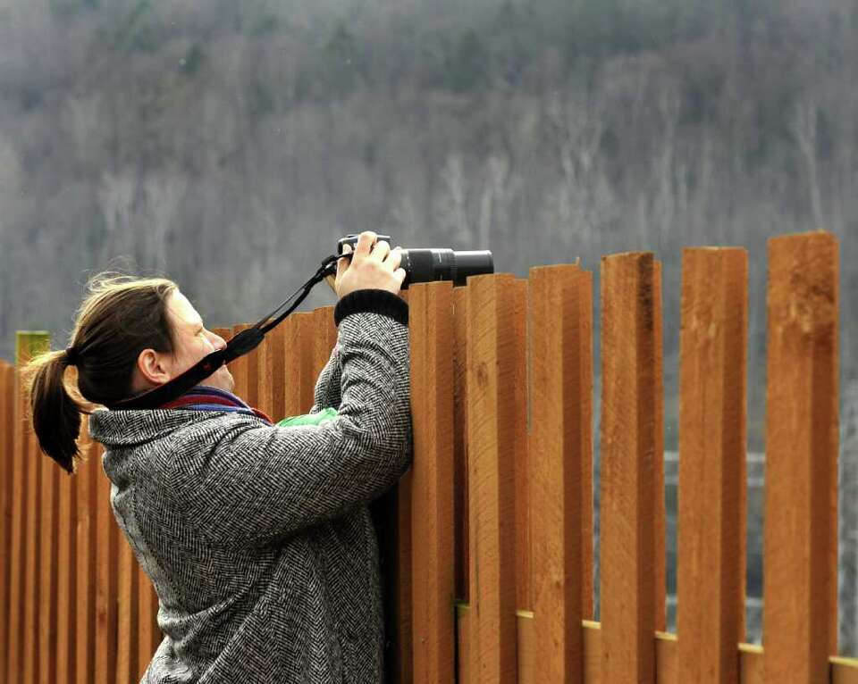 Eagle watchers flock to Shepaug Dam