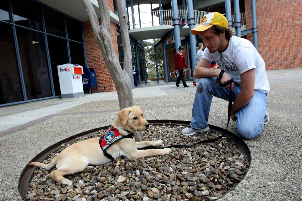 This adorable Houston TSA dog loves her job, loves the camera
