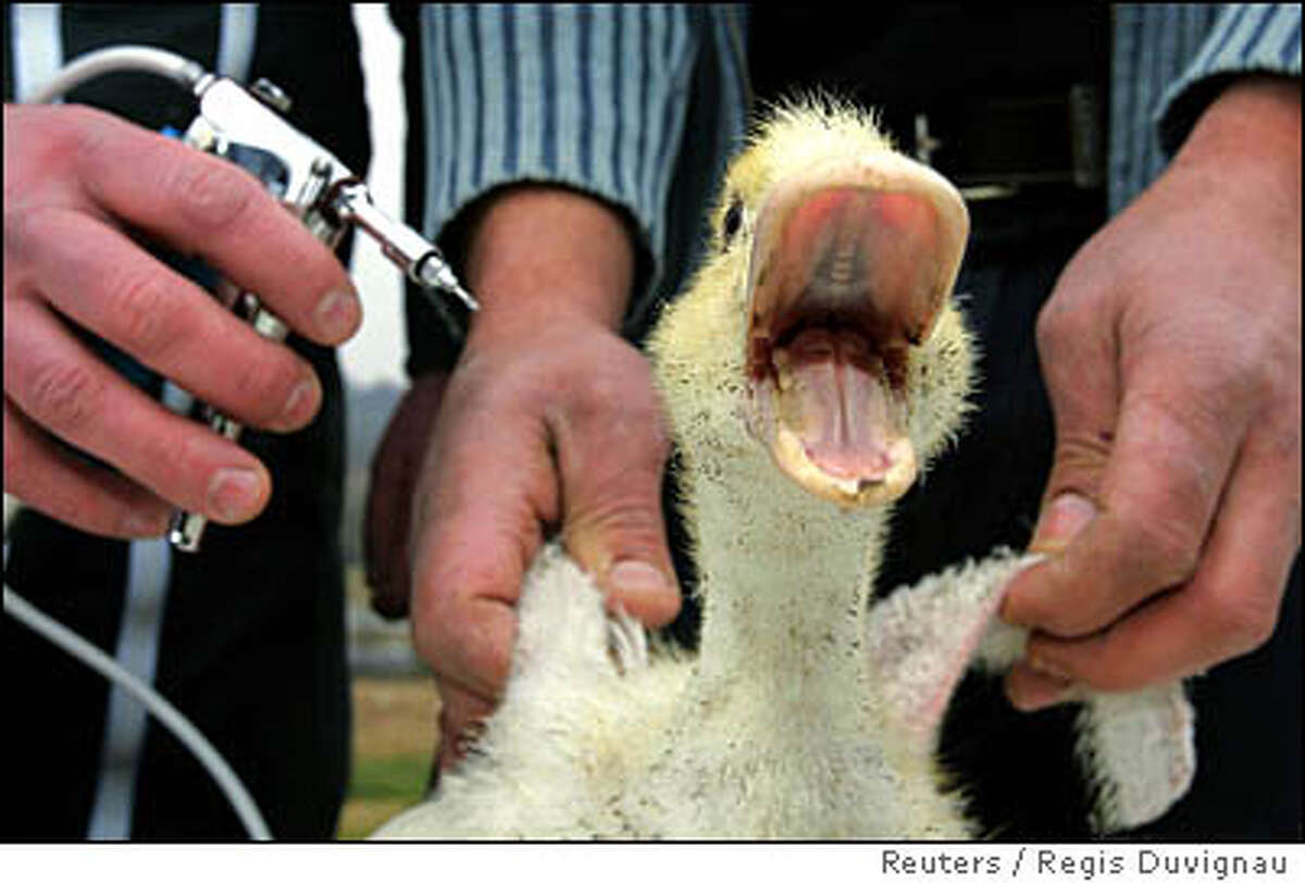 SFGate: Day in Pictures