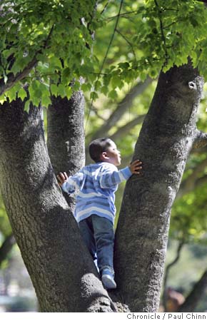 The view from up there