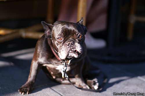 SF Gate: Photo Gallery: Nancy Wong