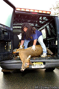 Day in Pictures, December 27, 2000