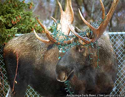 Day in Pictures, December 5, 2000