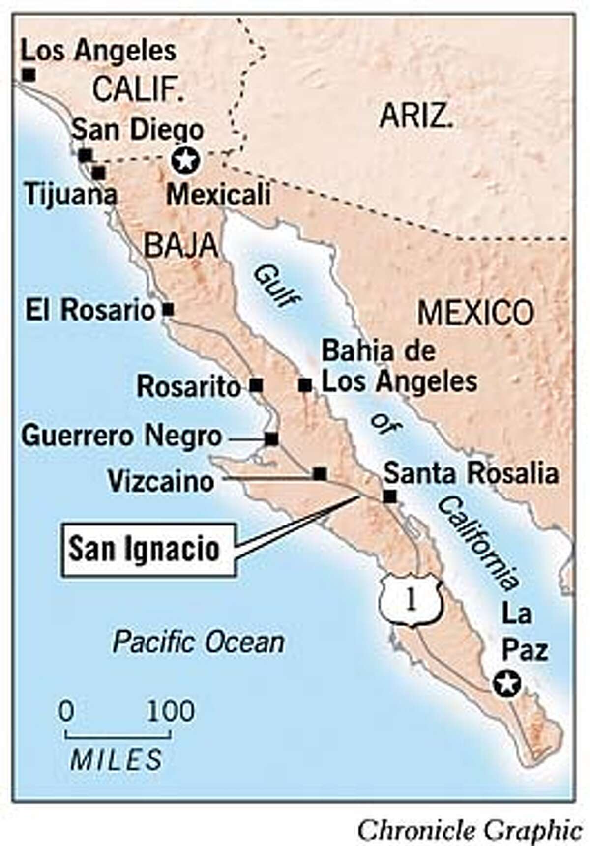 DESTINATION: MEXICO/LATIN AMERICA / Awash in whales / It's worth 45 ...