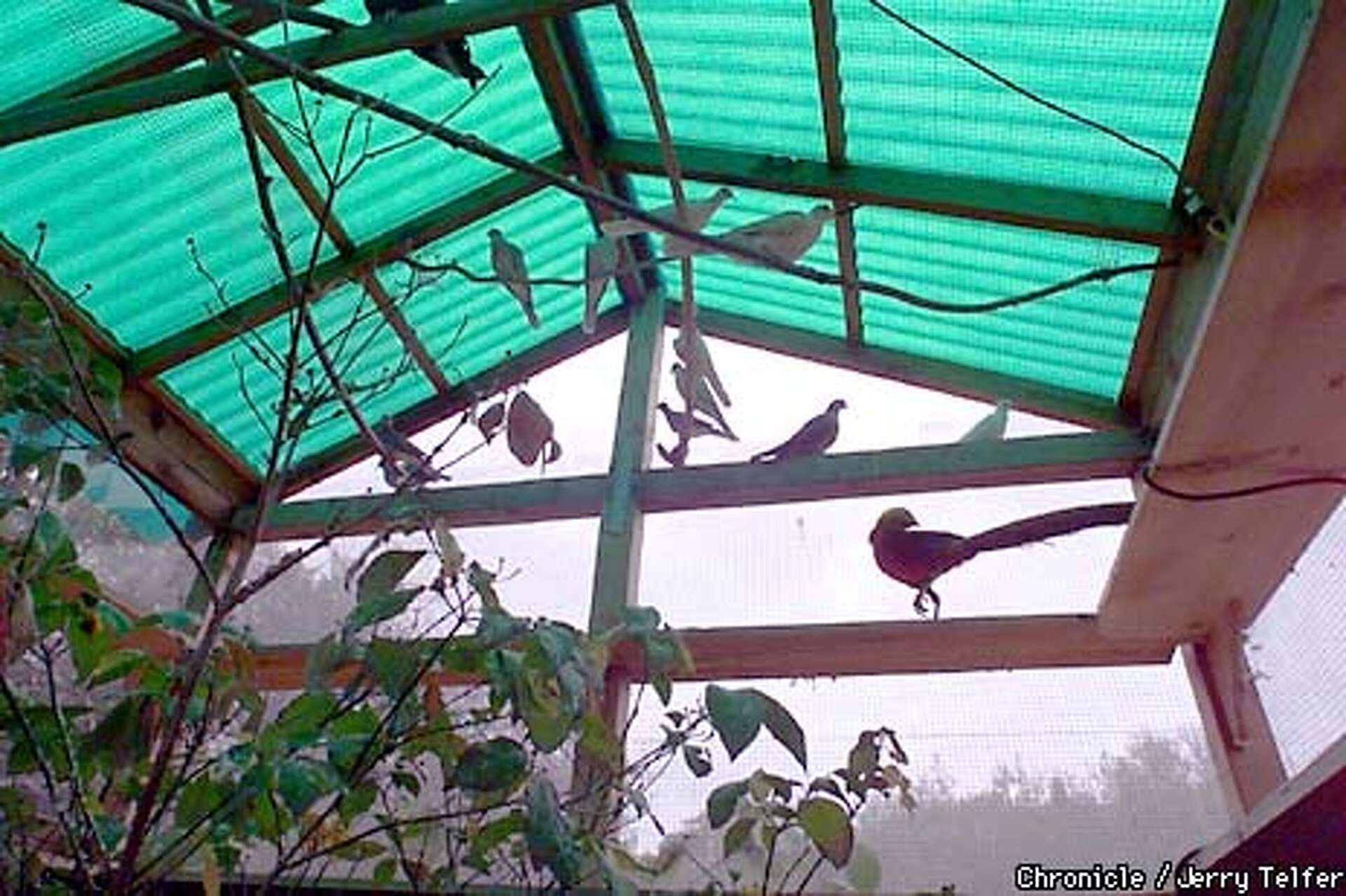 HOUSING THAT'S FOR THE BIRDS / Massive or modest, aviaries keep birds ...