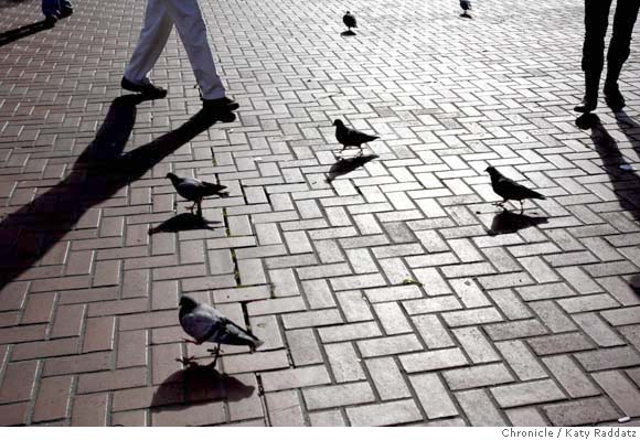 The shadows of September