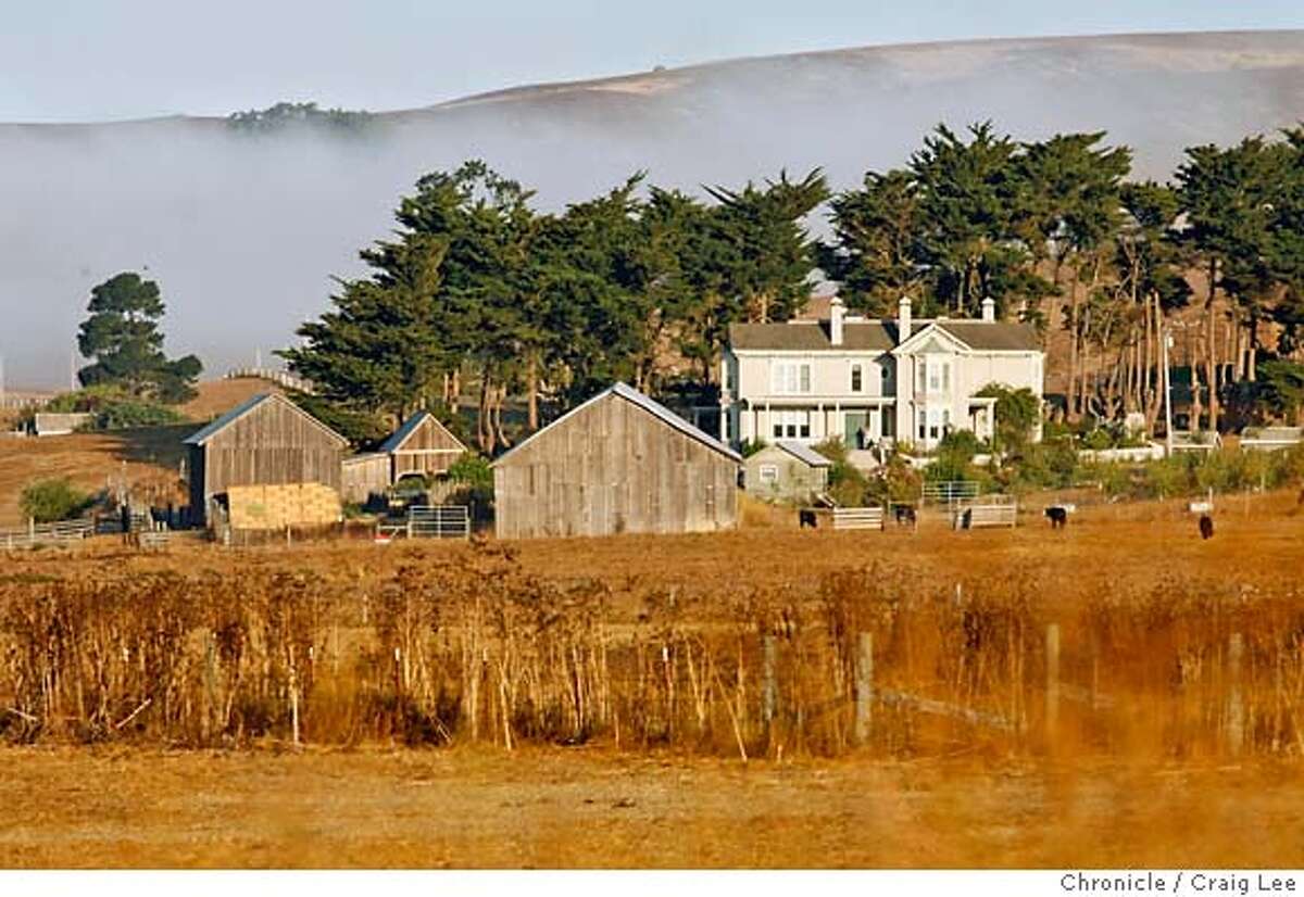 BACK TO THE RANCH / Consumers are going to the source for pastured beef ...