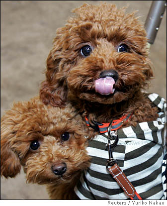 SFGate: Day in Pictures