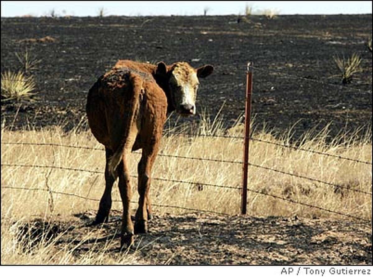 25 years later: Looking back at the ARCO explosion in Channelview